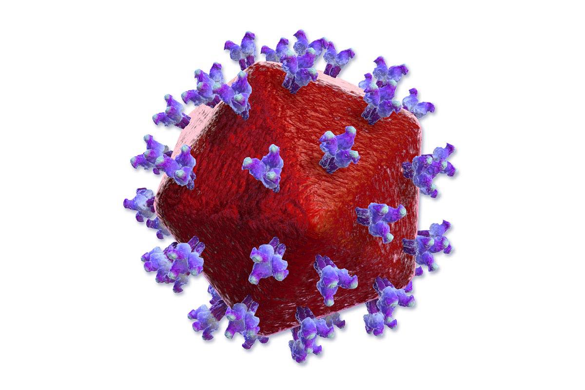 HIV Awareness: Understanding, Prevention, and Support - Pmc360